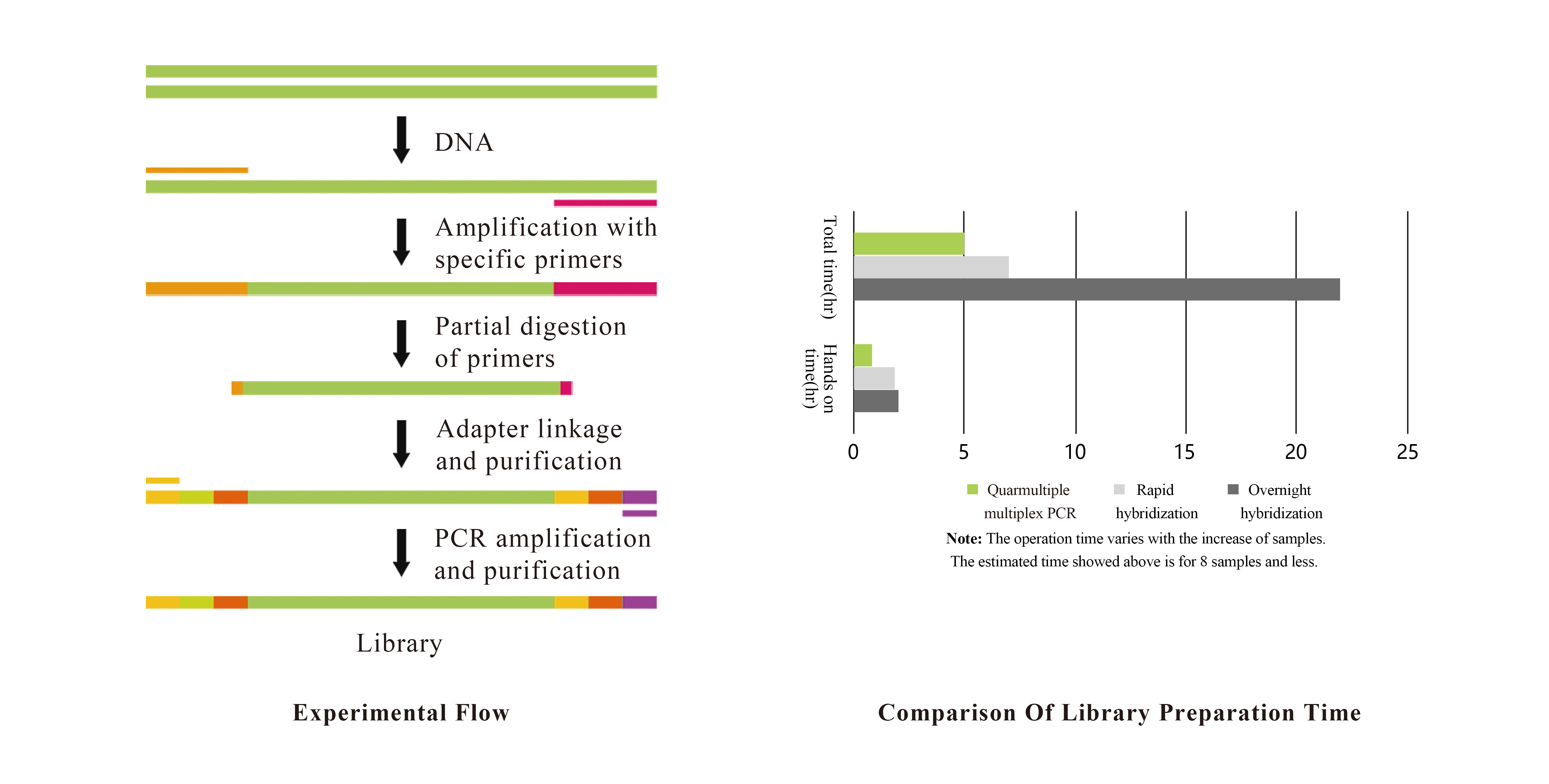 QuarMultiple PCR Custom Kit-Dynegene Technologies Official Website